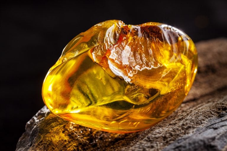 200+ Things That Are Yellow in Nature (Full List and Photos) | Color ...