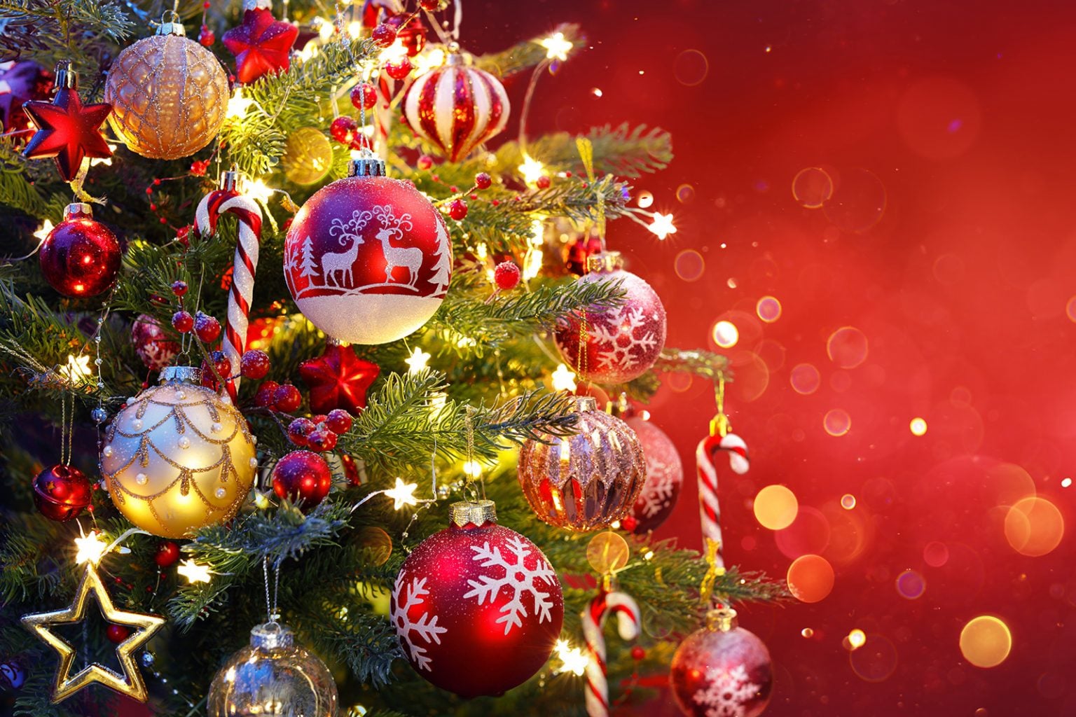 Why Are Red and Green the Colors of Christmas? | Color Meanings