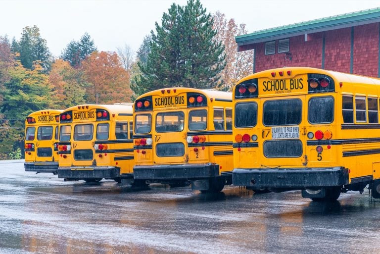 Why Are Most American School Buses Such a Distinct Shade of Yellow ...