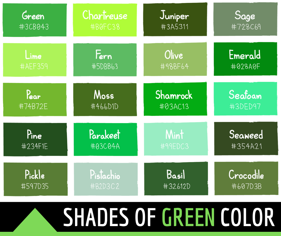 34 Nuances De Couleur Verte Avec Des Noms Et Des Codes HTML