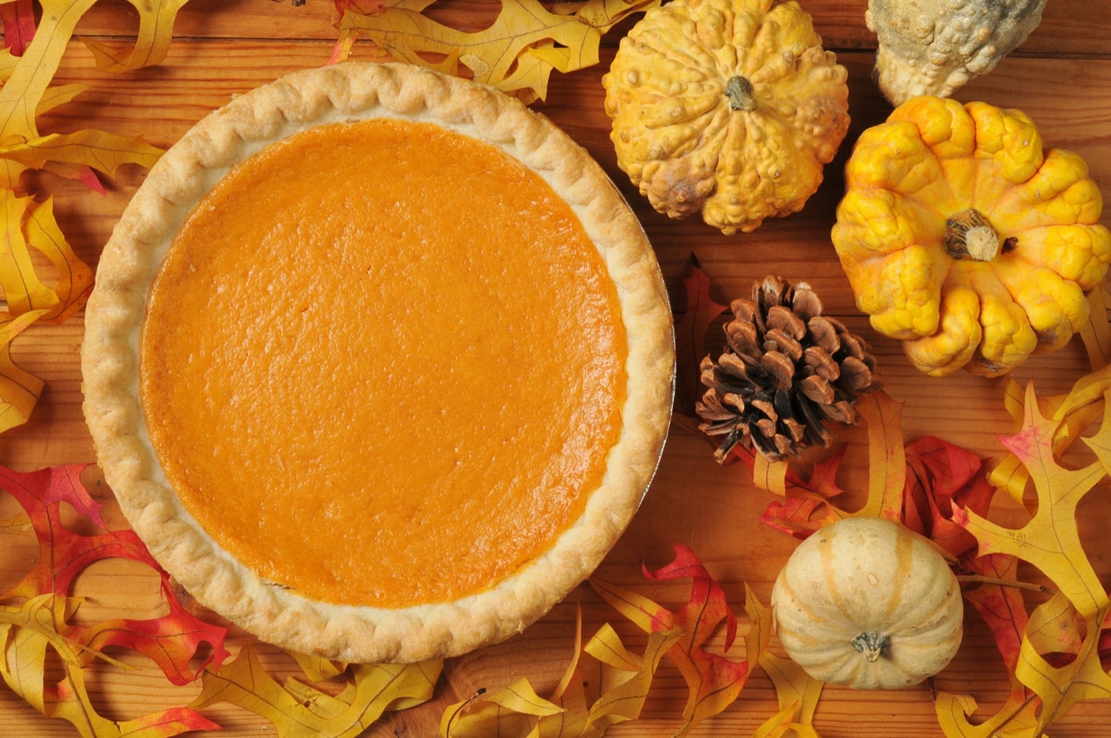 Thanksgiving Colors: Uncovering Their Meaning and Symbolism | Color ...