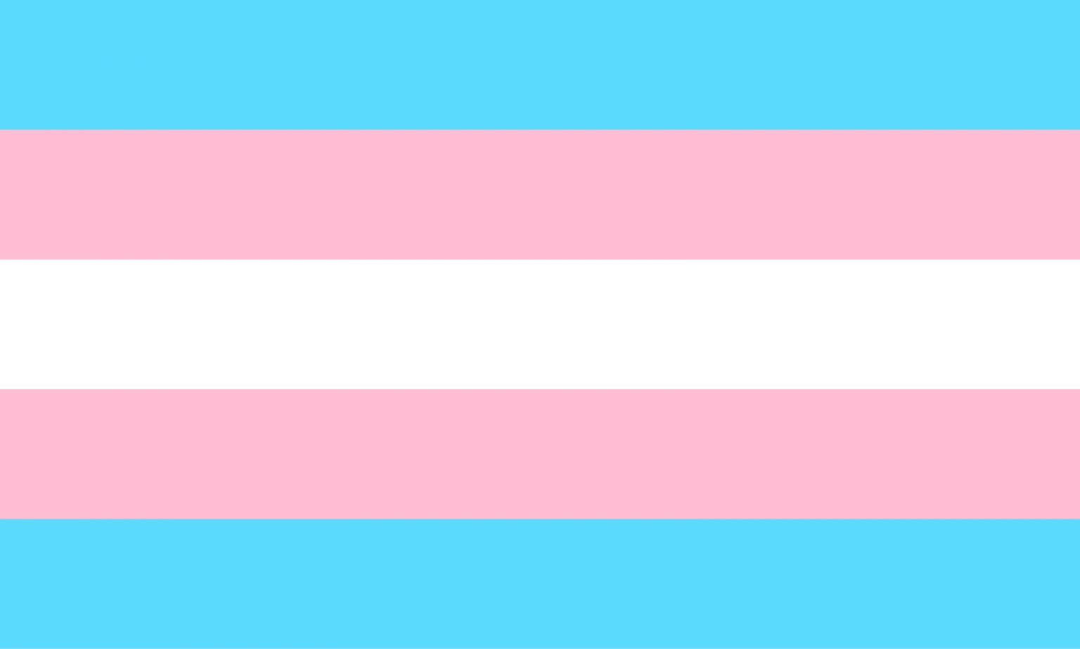 30 LGBTQ+ Pride Flags With Color Meanings | Color Meanings